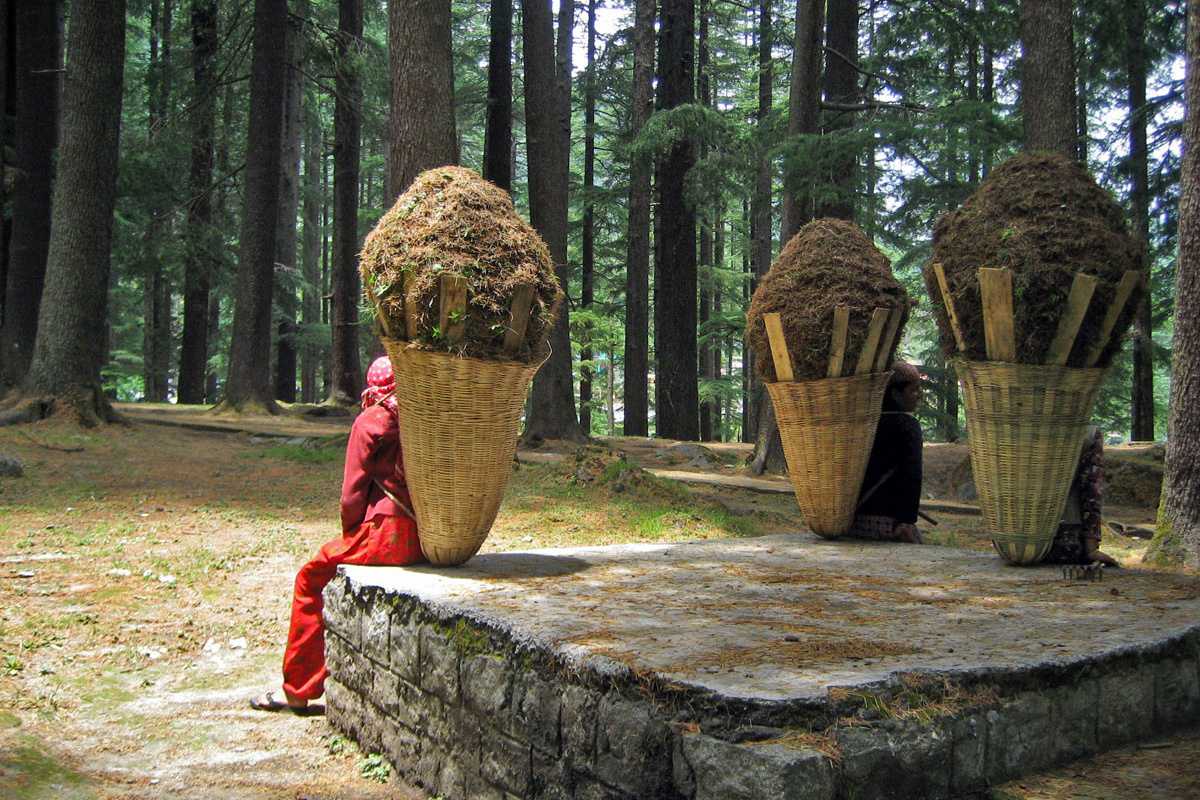 Manali - Experience India's Most-Wanted Hill Station - | TheTravelShots
