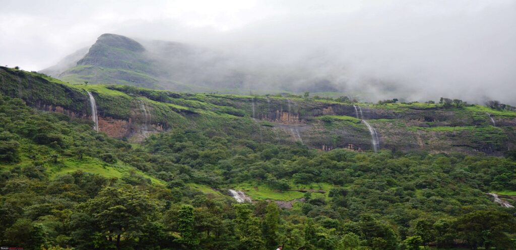 Nashik: the wine capital of India - | TheTravelShots