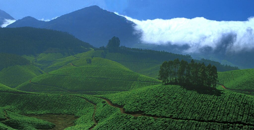 Pakhui Wildlife Sanctuary - TheTravelShots