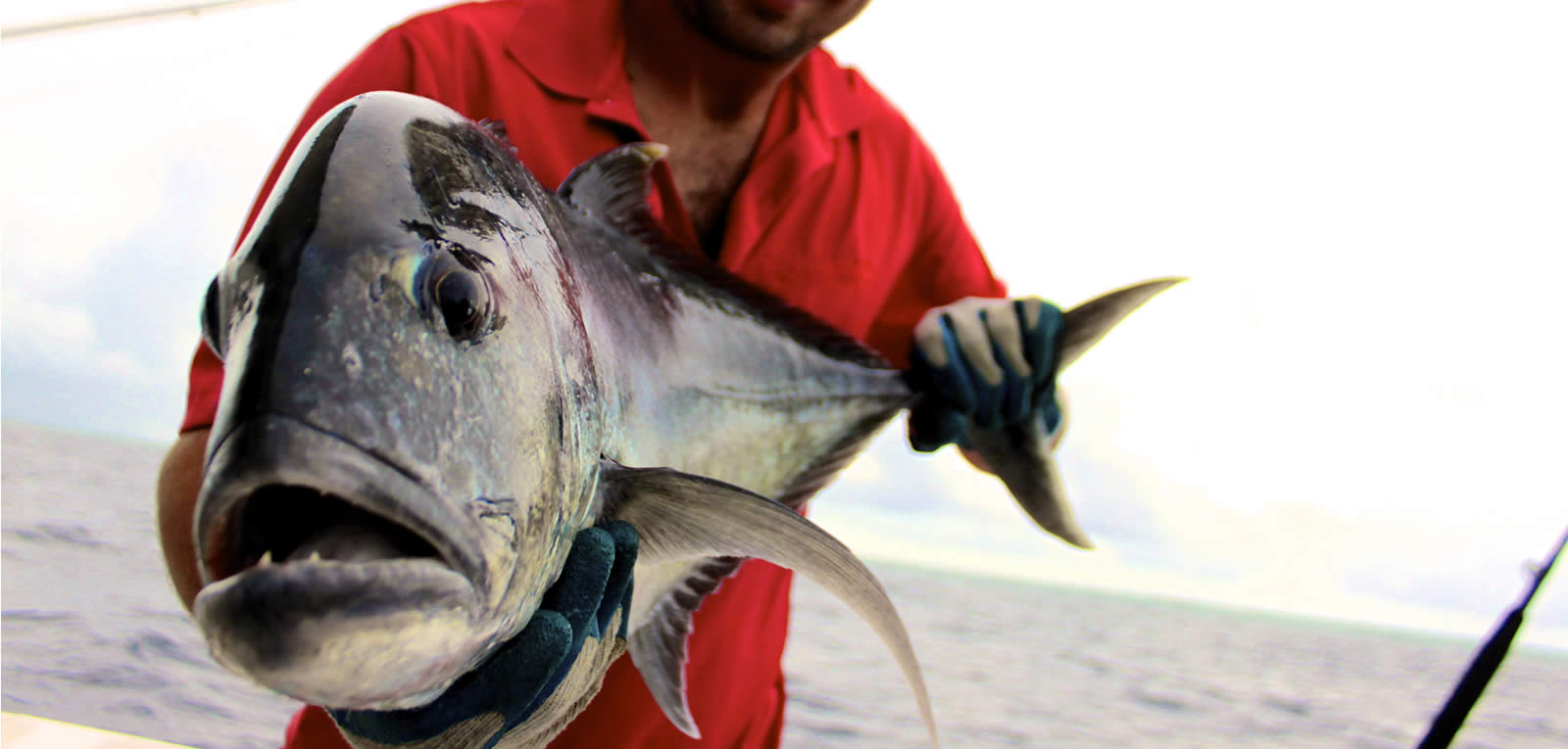 The Complete Guide To Visiting The Maldives - | TheTravelShots