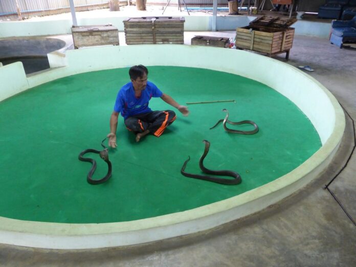 Phuket: A Complete Guide - TheTravelShots