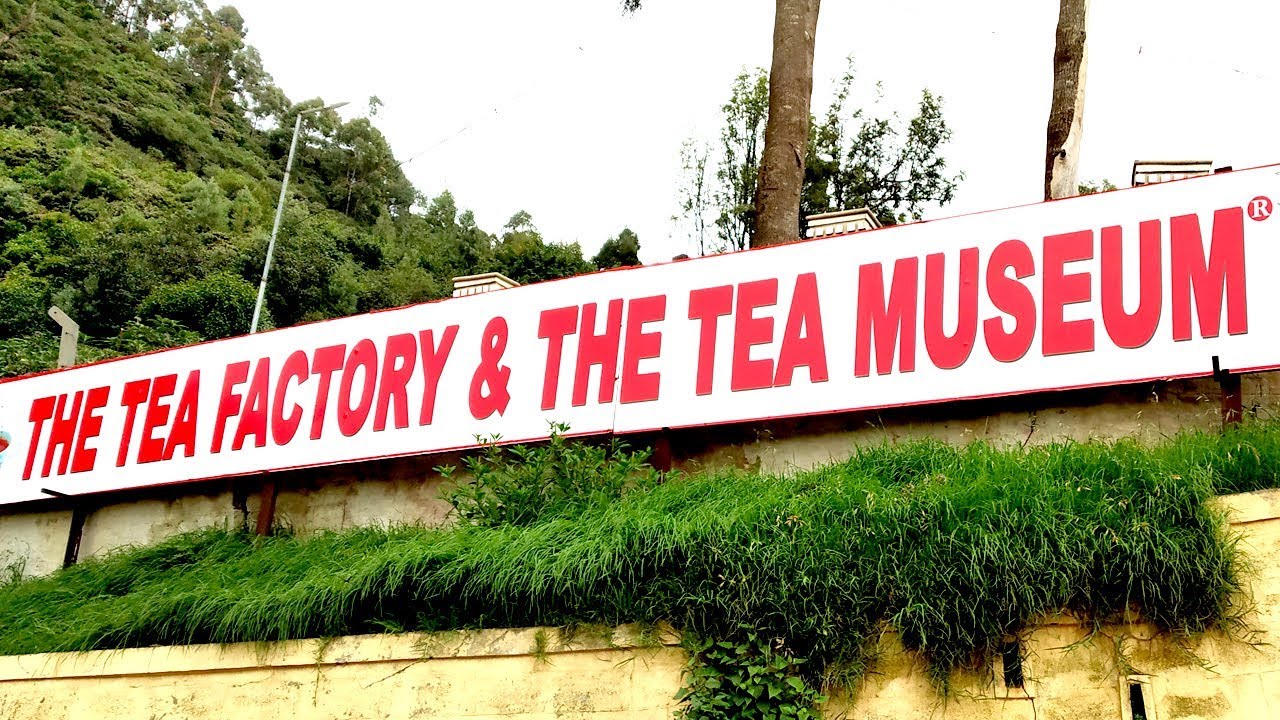 Travel Guide to Ooty - | TheTravelShots