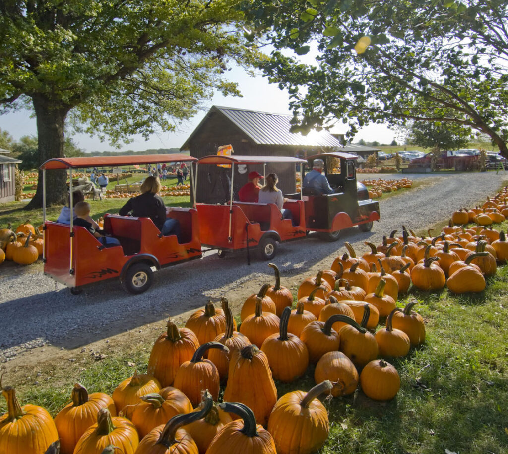 Pumpkin patches near Chicago: Where to find - TheTravelShots