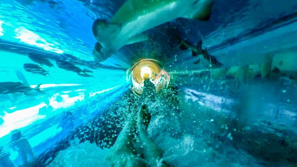America's Most Surreal Hotel Pool - | TheTravelShots