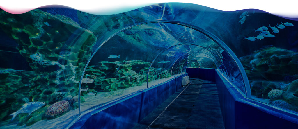 VGP Marine Kingdom - | TheTravelShots