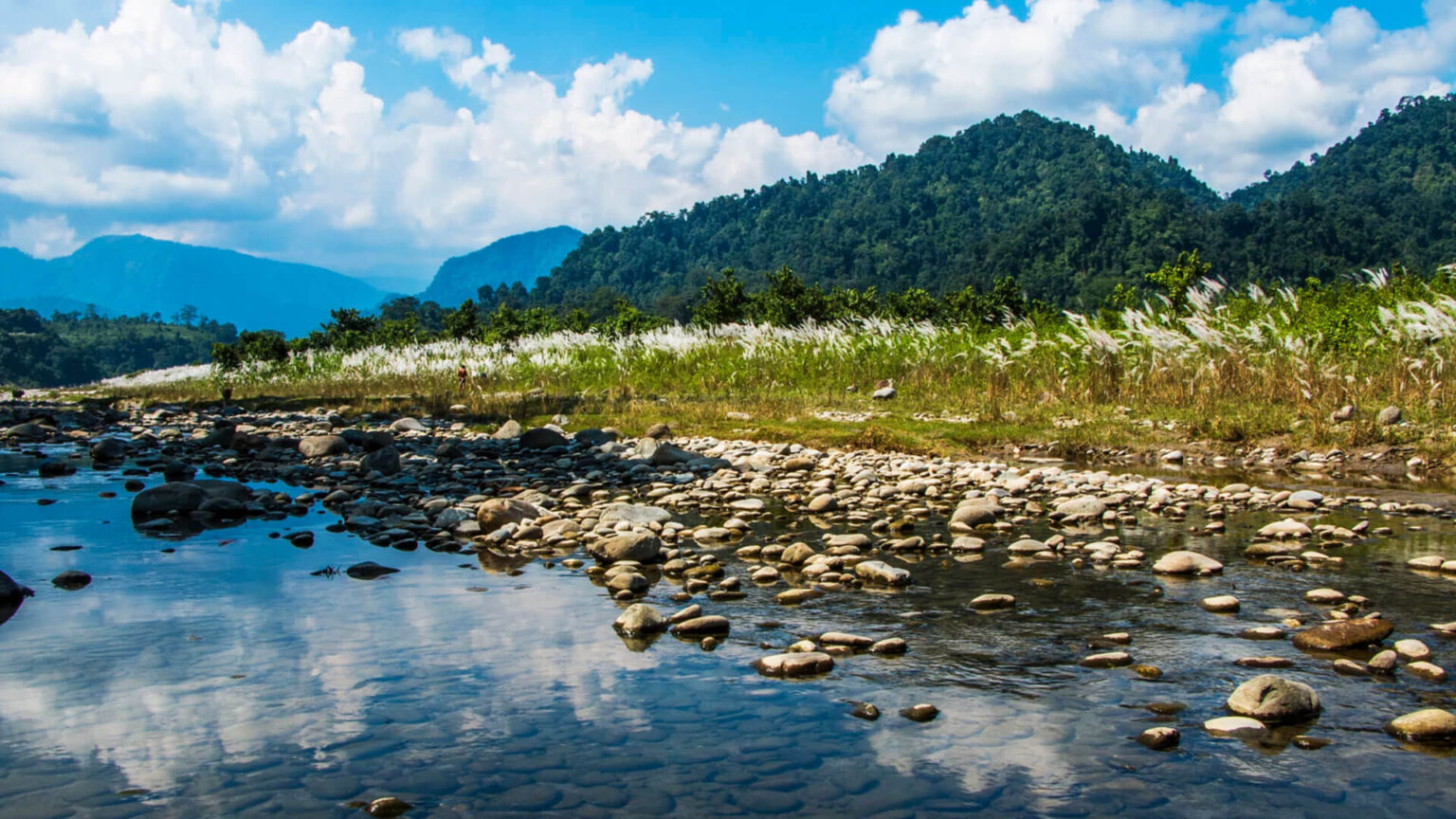 Pakhui Wildlife Sanctuary - | TheTravelShots