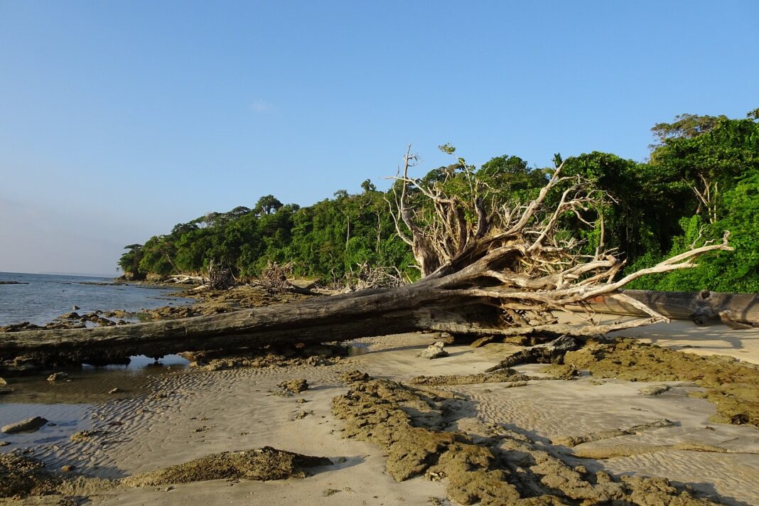Wandoor Beach Port Blair - | TheTravelShots