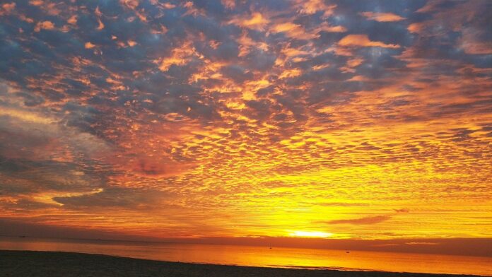 Beaches in Goa - | TheTravelShots