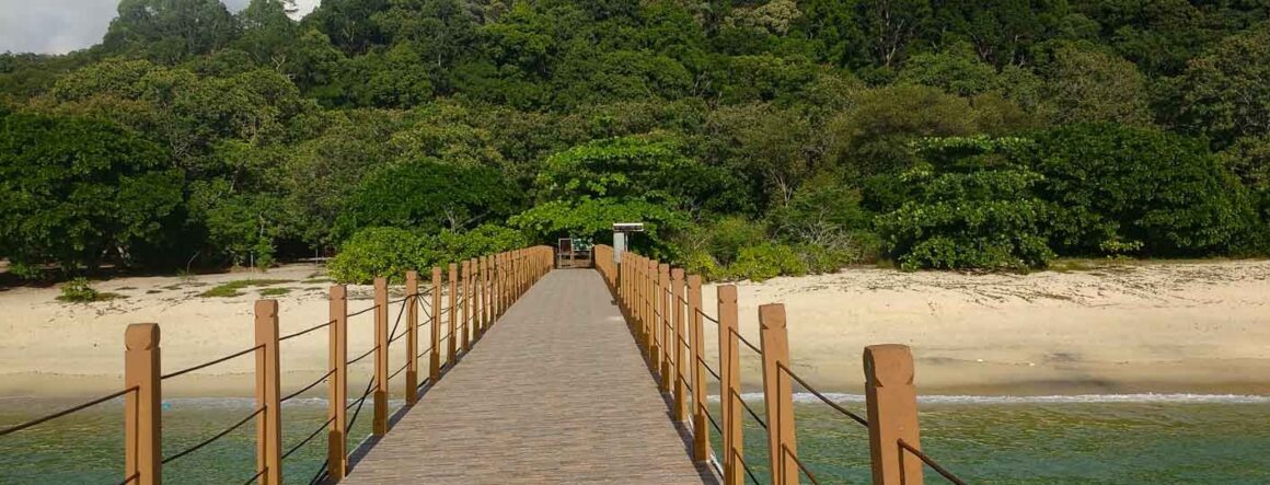Penang National Park: A Guide to Attractions and Activities ...