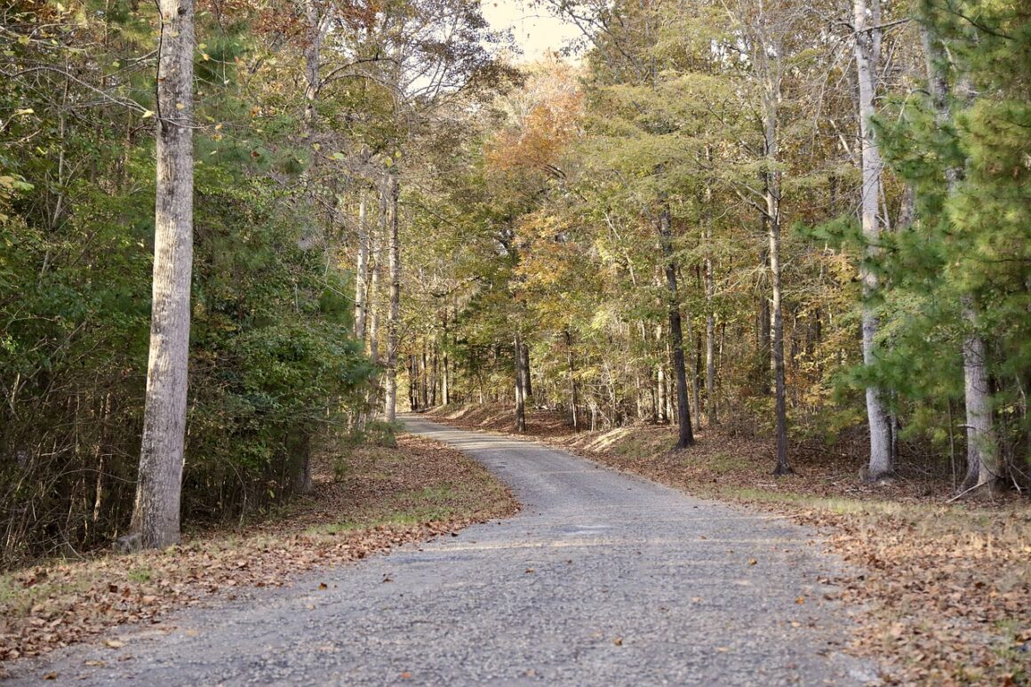 State Parks in Alabama: Discover the Natural Wonders - | TheTravelShots