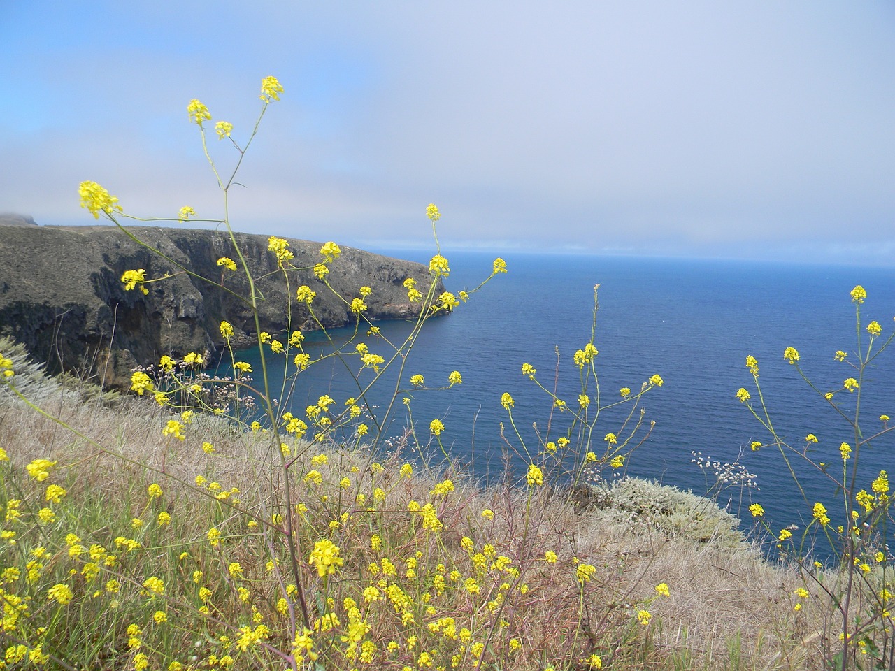 Channel Islands National Park: A Natural Paradise - | TheTravelShots