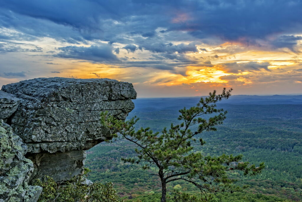 Talladega National Forest: A Guide to Outdoor Adventures and ...