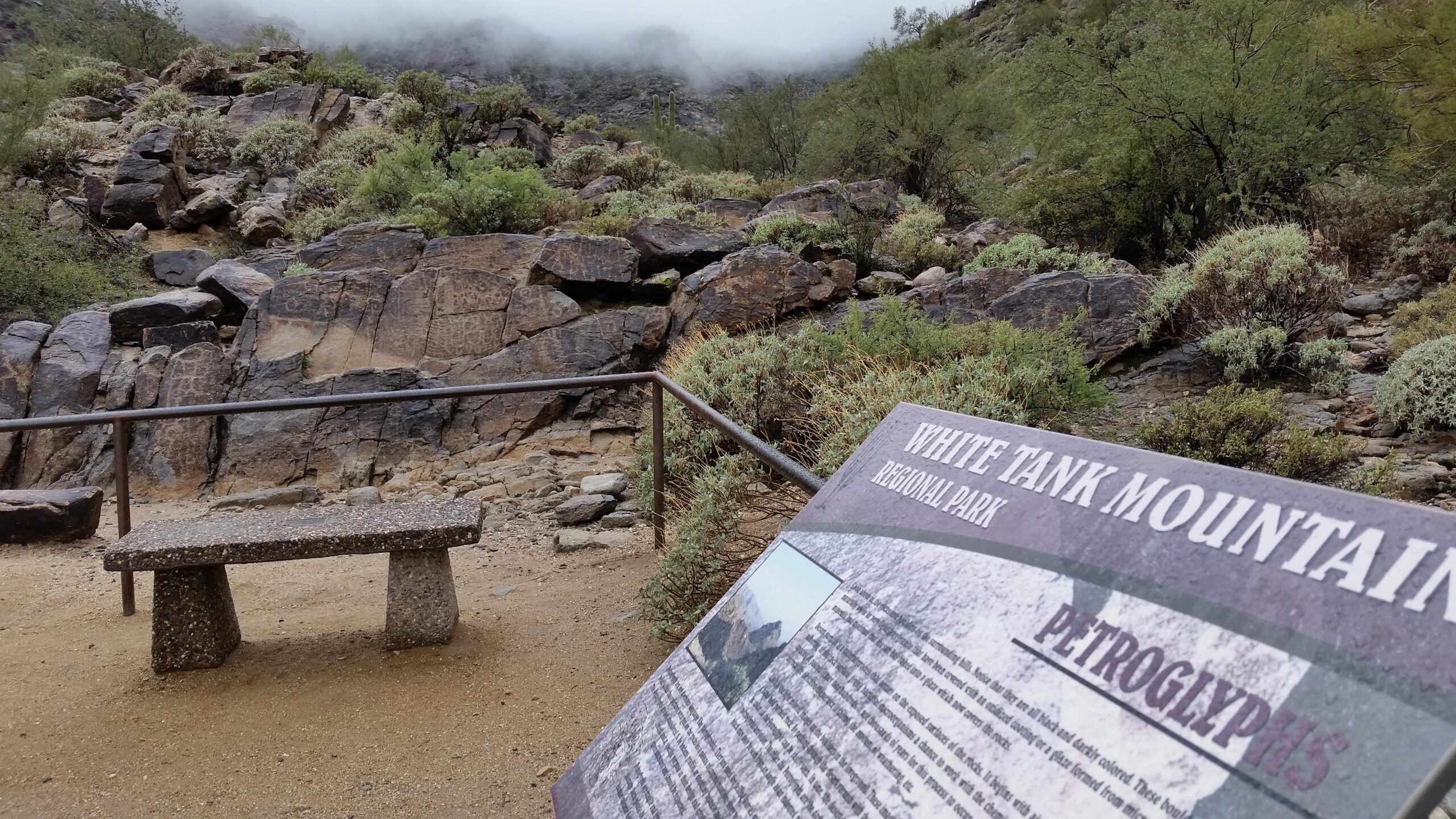 White Tank Mountain Regional Park: A Hidden Gem in the Sonoran Desert ...
