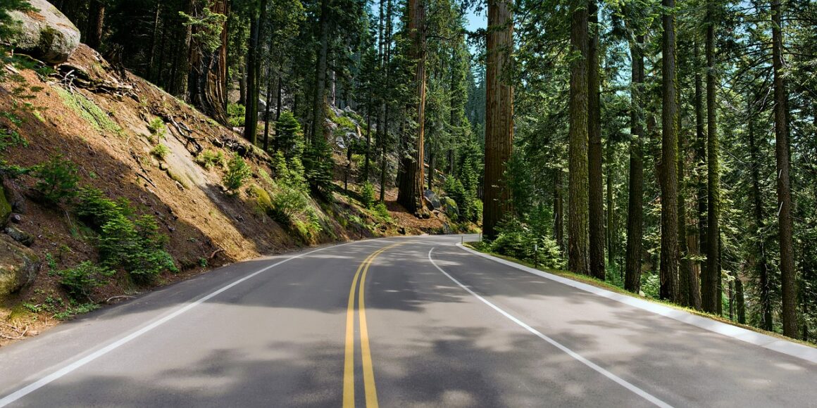 Redwood Highway: A Journey Through California's Natural Wonder ...