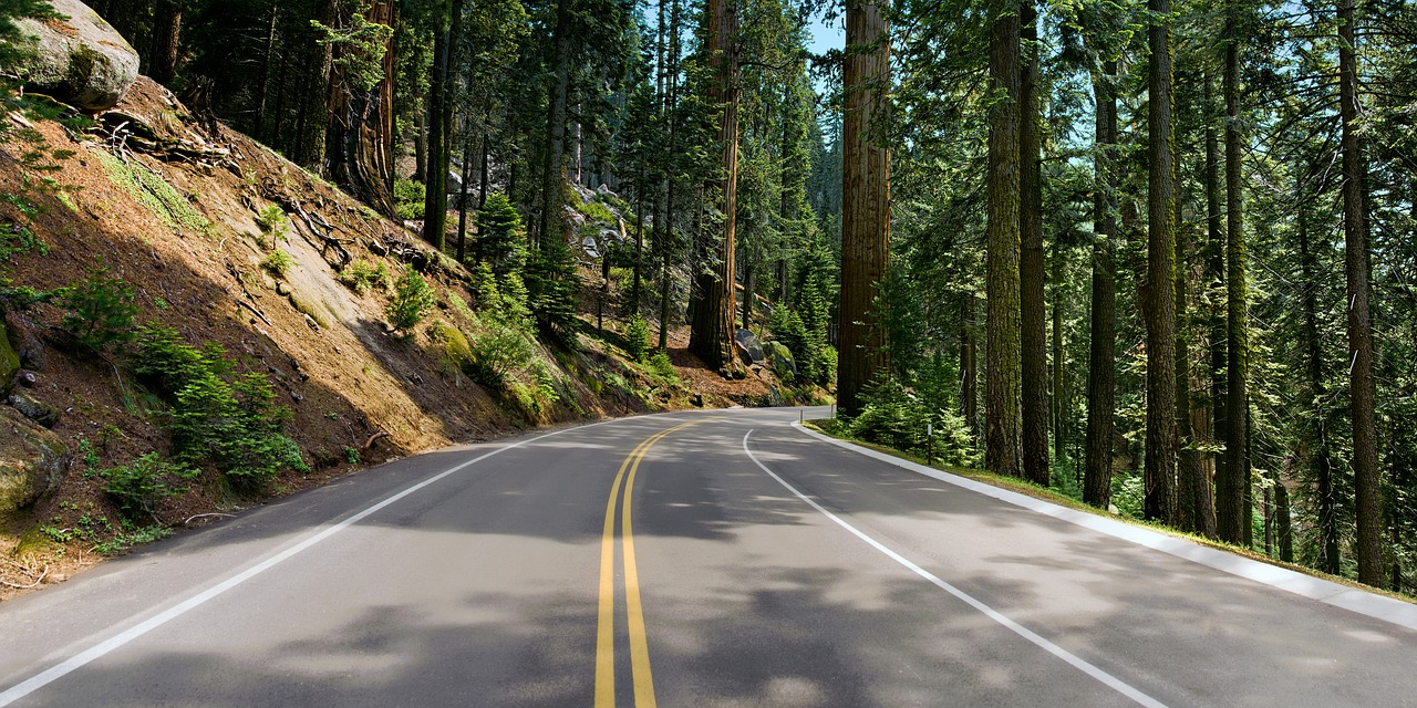 Redwood Highway: A Journey Through California's Natural Wonder ...