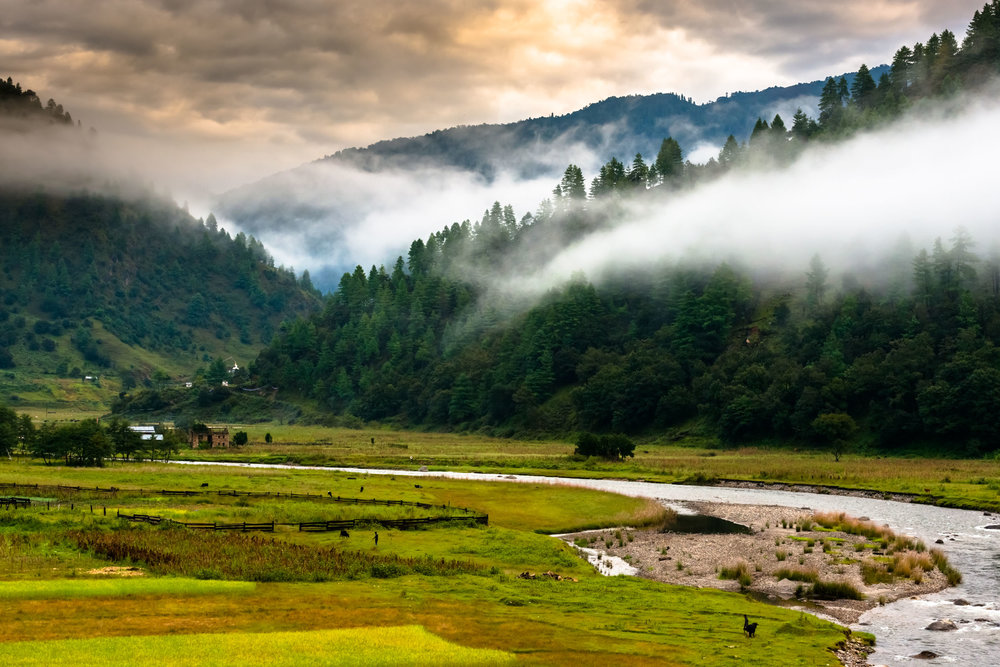 Exploring the Enchanting Beauty of Sangti Valley, Arunachal Pradesh ...