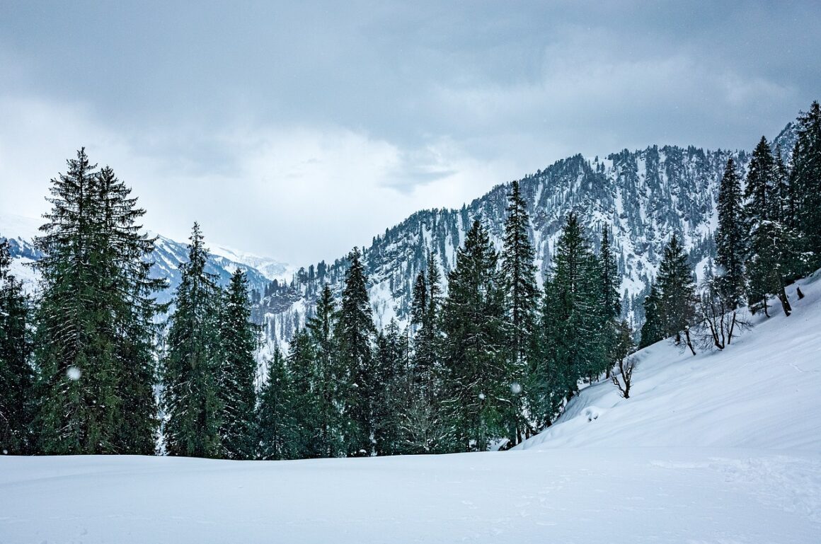 Best Time to Visit Manali: Exploring the Beauty of the Himalayas ...