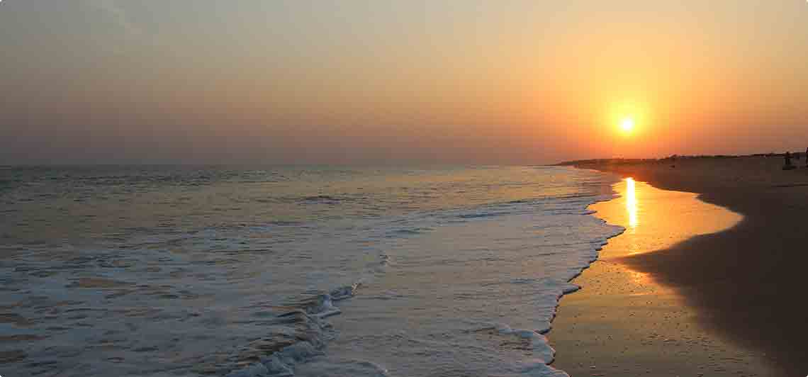 Puri Beach: A Comprehensive Guide to the Tranquil Beauty - | TheTravelShots