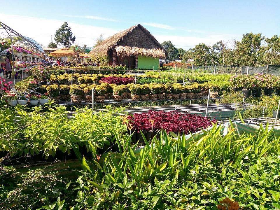 Sa Dec: Discover Vietnam's Hidden Gem - | TheTravelShots