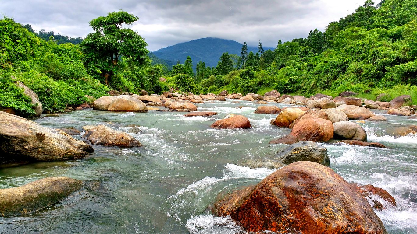 Dooars: A Comprehensive Guide - | TheTravelShots