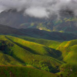 Daya River: Exploring the Historical and Ecological Treasure ...