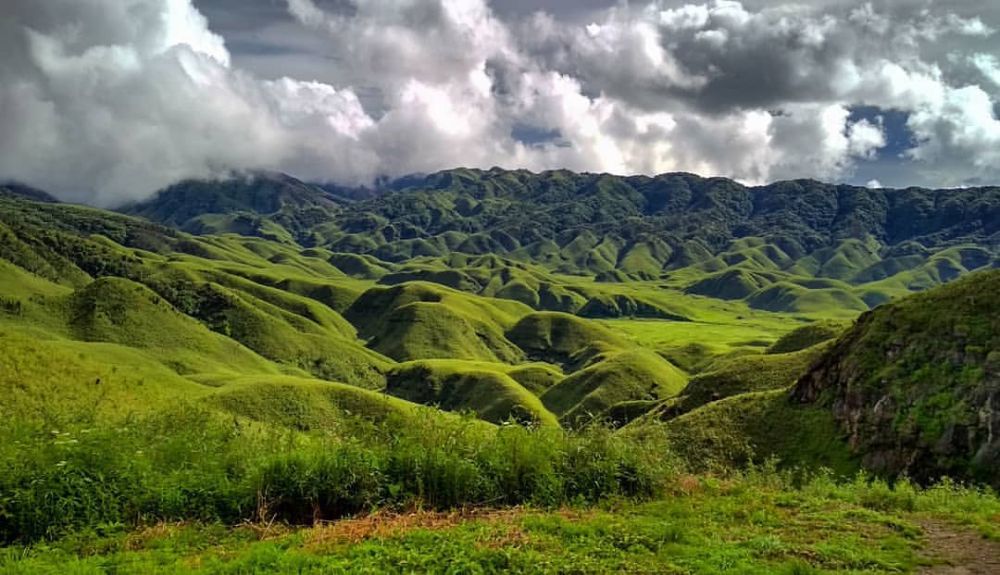 Japfu Peak: A Complete Guide to Trekking Nagaland’s Second-Highest ...
